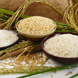 Home | Shwe Wah Yaung Agriculture Production